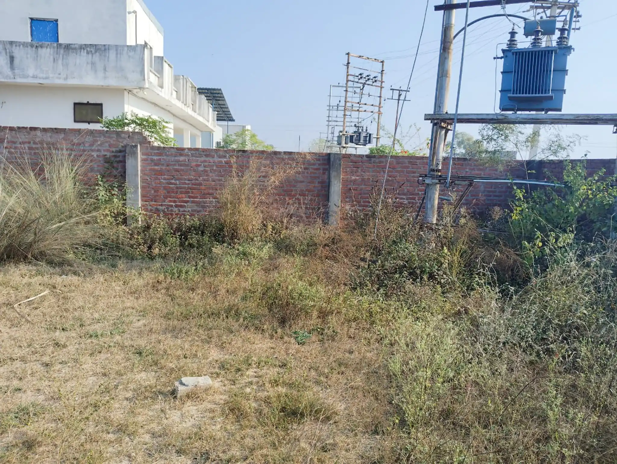 Kangra Auction Details | Auction Hub