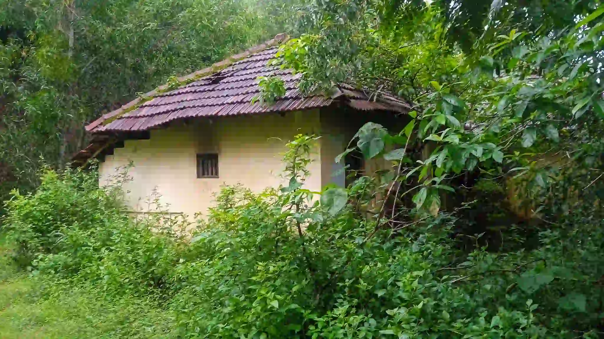 Kasaragod Auction Details | Auction Hub